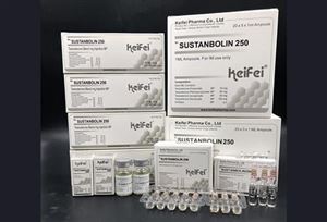 SUSTANBOLIN 250 - Vial